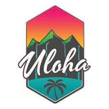 Online Merit Badges – EPIC Badges